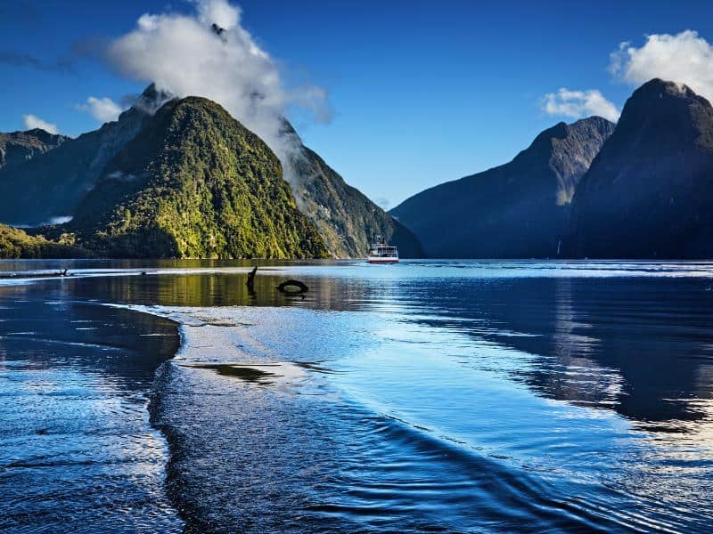 35 Interesting Facts About New Zealand: Epic Wonders