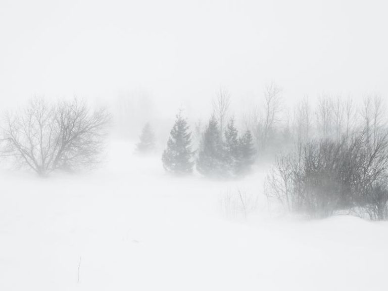10 Interesting Facts About Blizzards: Winter's Fury