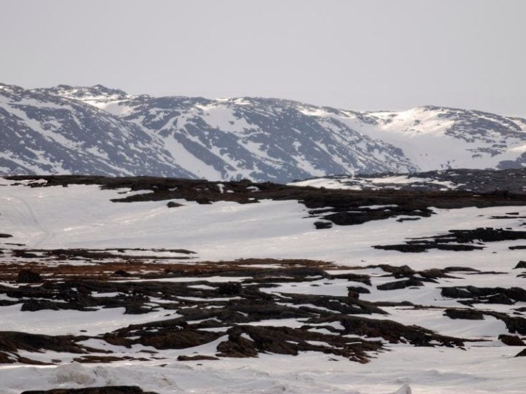 20 Remarkable Facts About The Tundra: Frozen Biome