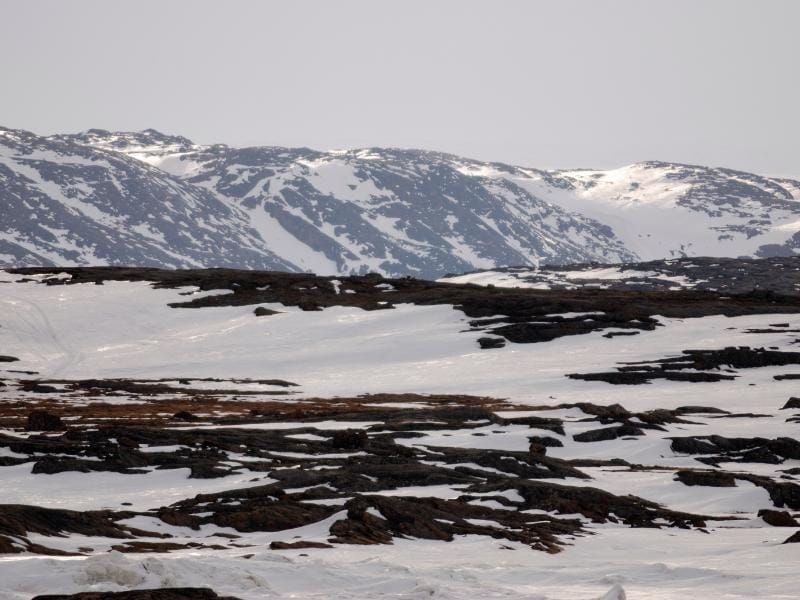 20 Remarkable Facts About The Tundra: Frozen Biome