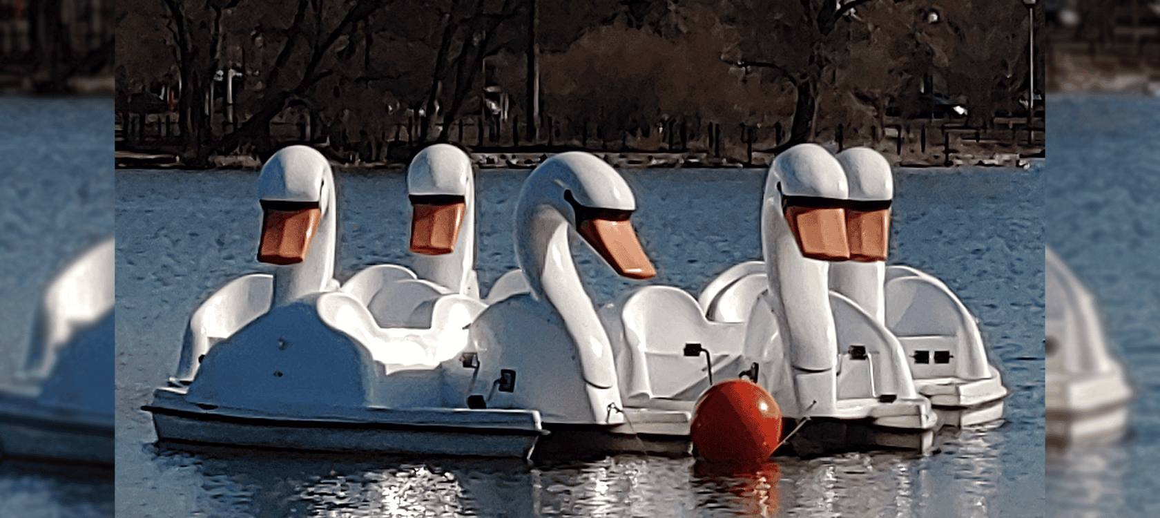 AdventureGlass Platform Bird Boats - Commercial Recreation Specialists