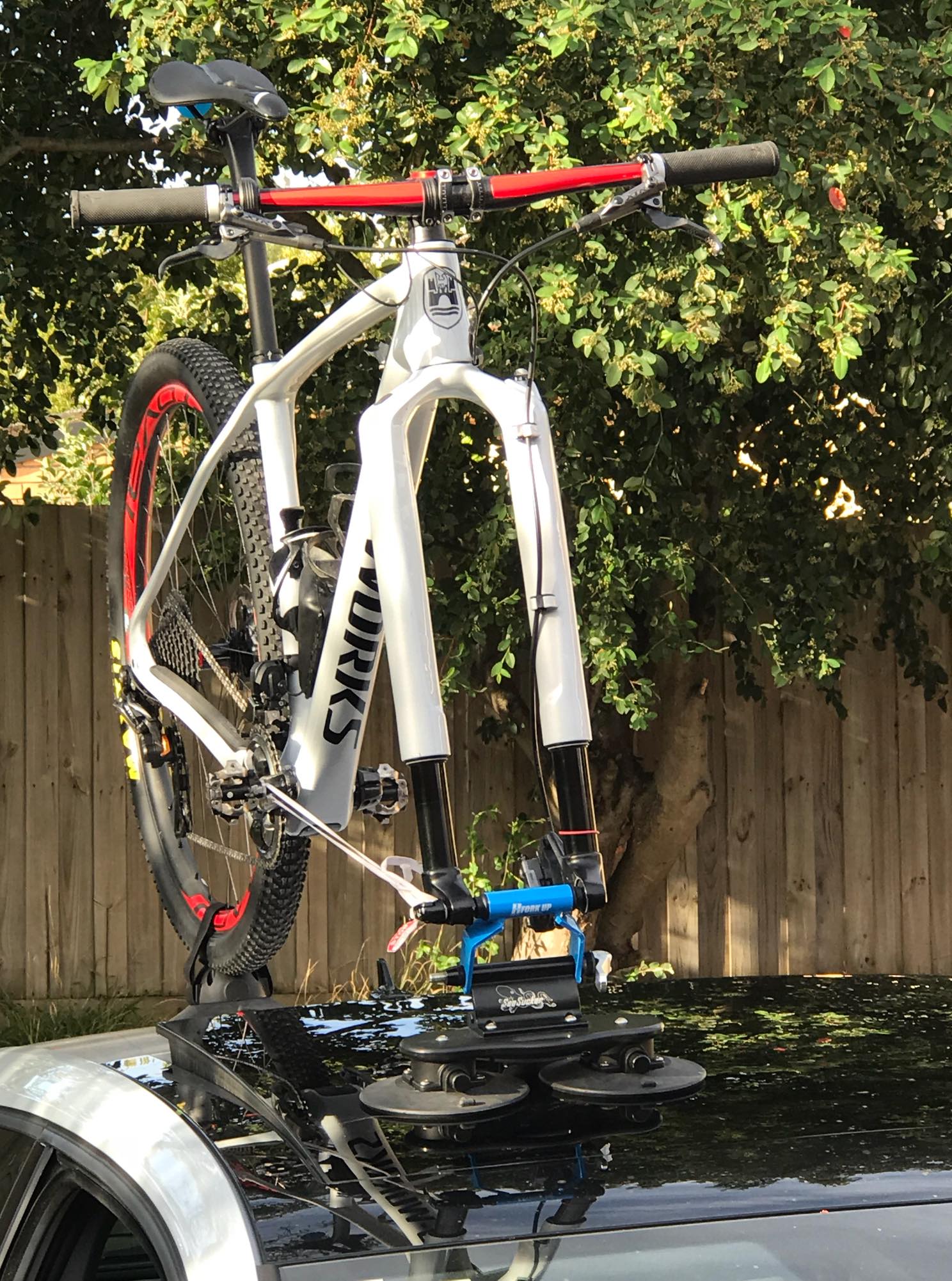 VW Golf GTI Bike Rack - SeaSucker Down Under