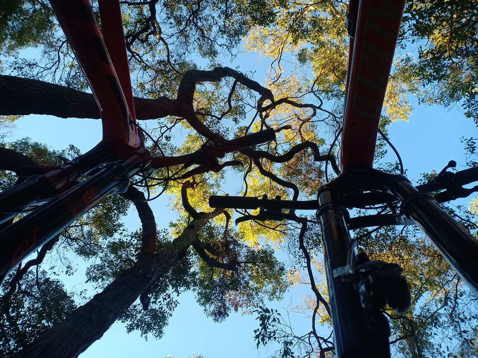 VW Polo GTI Bike Rack - SeaSucker Down Under