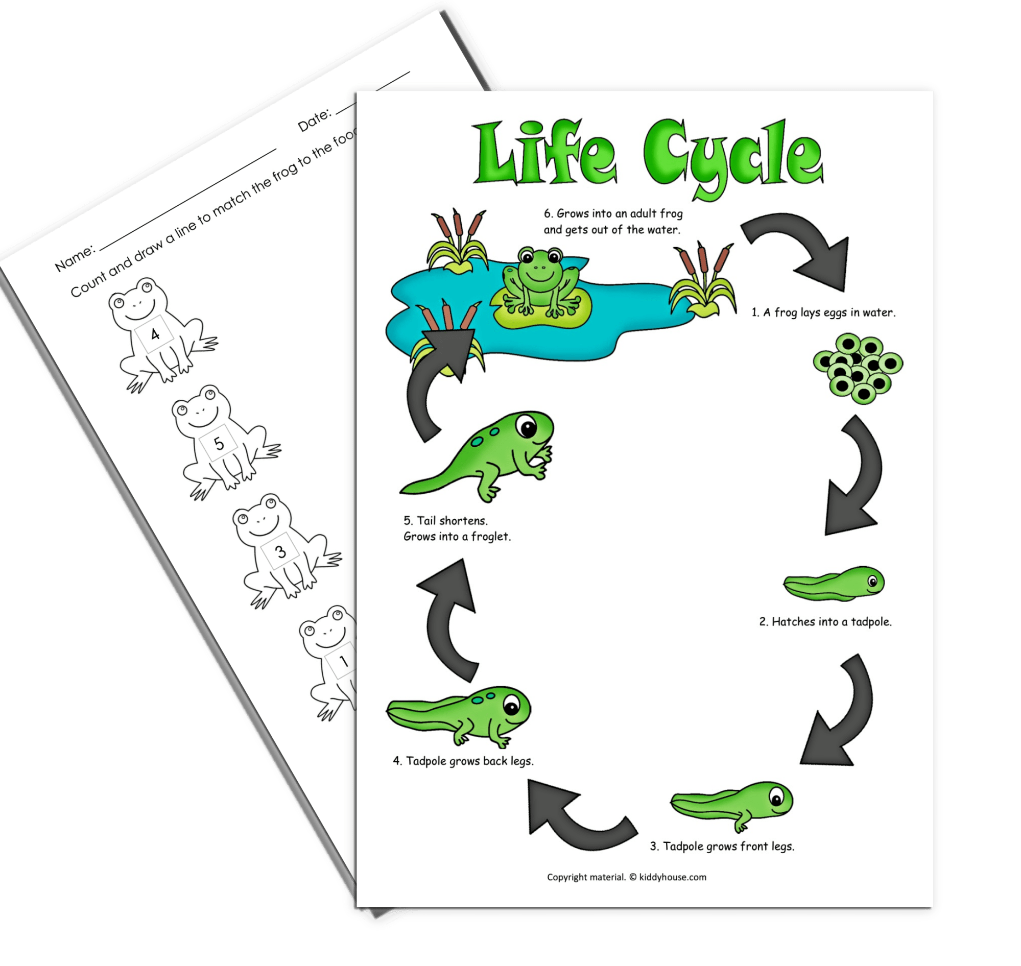 Frog Printables | kiddyhouse.com