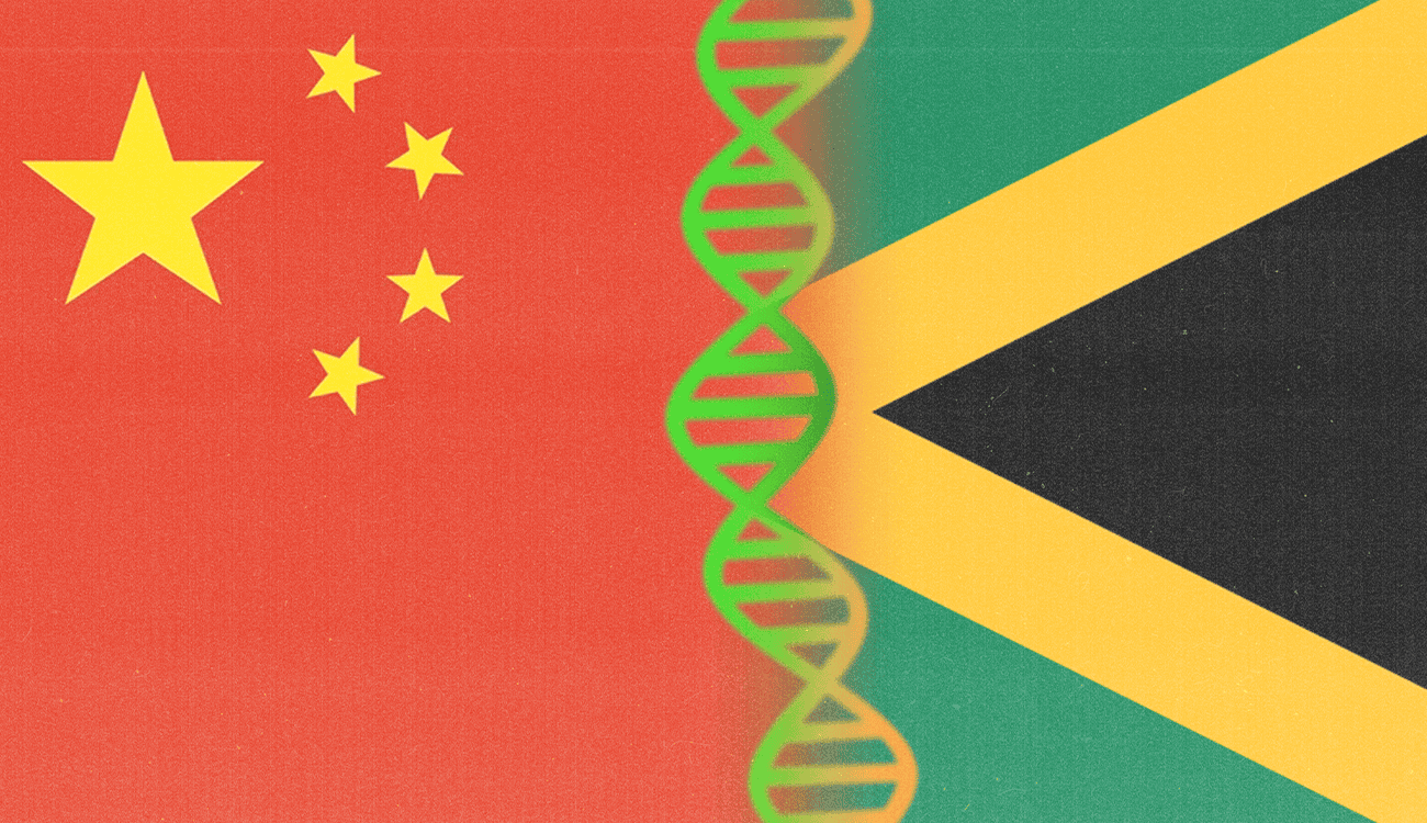 The Chinese Part *Is* The Jamaican Part - JoySauce.com