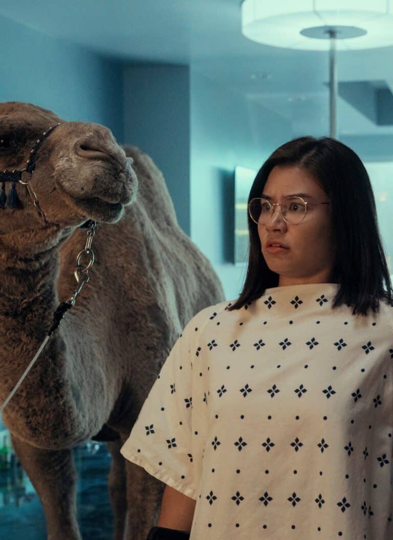 JoySauce for Everyone