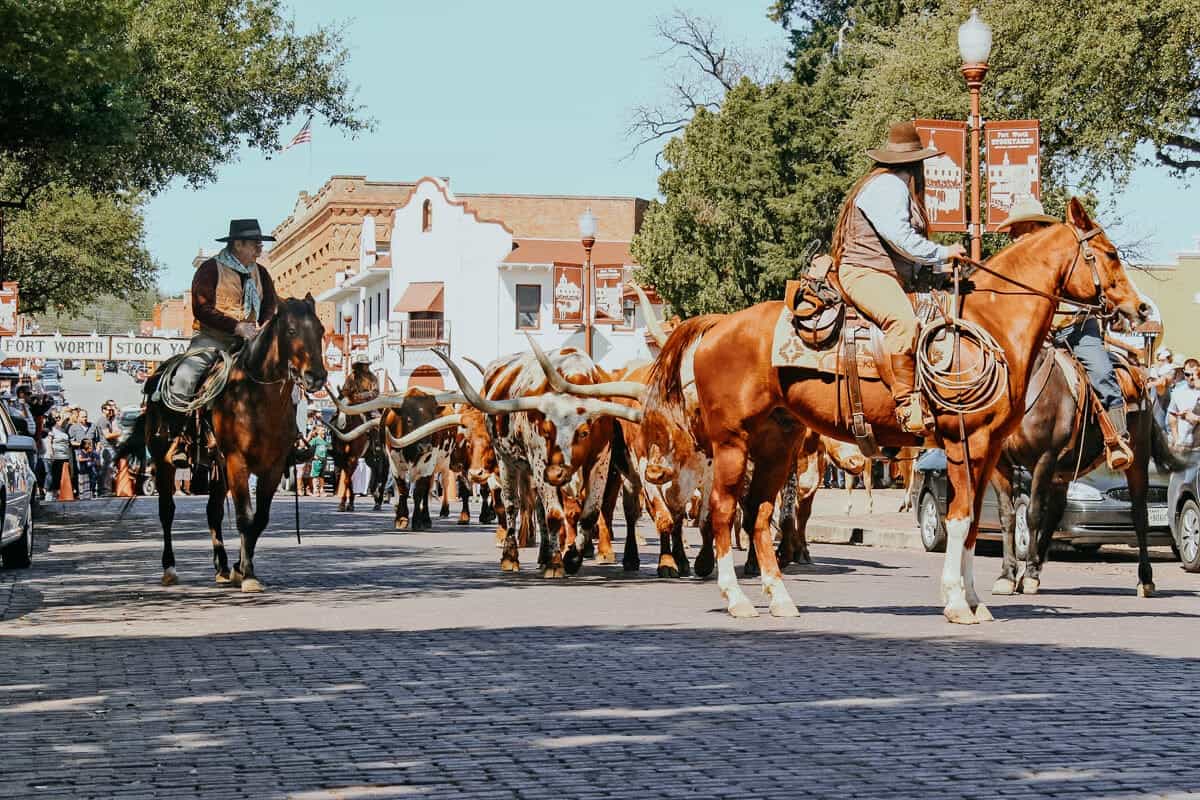 9 Essential Things to do in Dallas, Texas