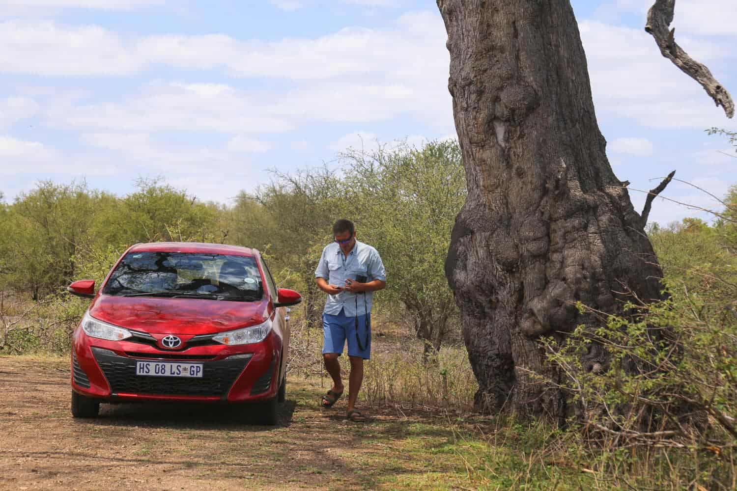 A Complete Guide to Visiting Kruger National Park, South Africa