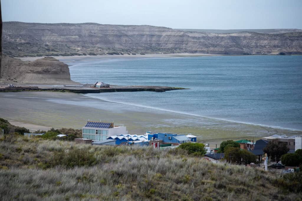 Visit Peninsula Valdes: The Perfect Itinerary for Patagonia Wildlife