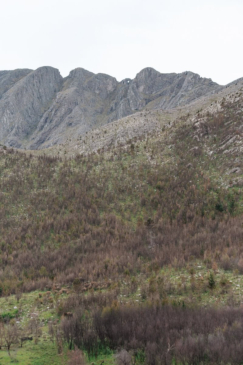 Sierra de la Ventana, Argentina: A Detailed Travel Guide