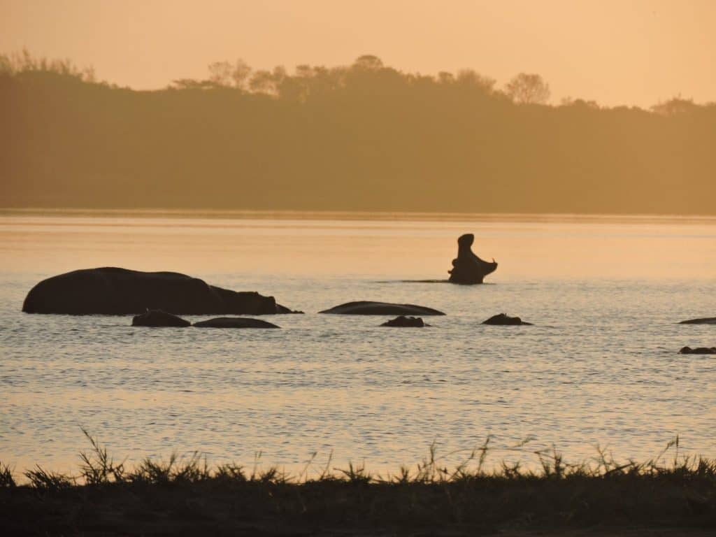 How to Describe a Photo (IELTS Speaking) - TED IELTS