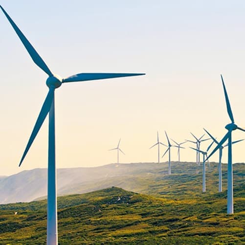 Australia’s First Community Wind Farm Is Now About More Than Just Wind ...