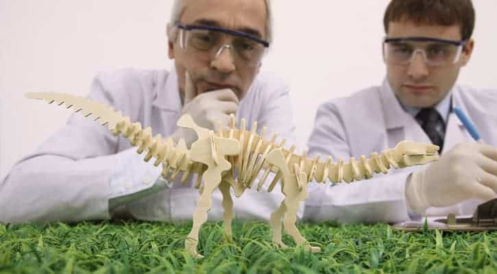 How did the dinosaurs get extinct from the Earth? New information came ...