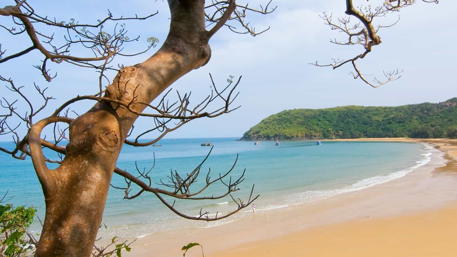 Top 10 Things To Do In Con Dao | Vietnam Is Awesome | 2023