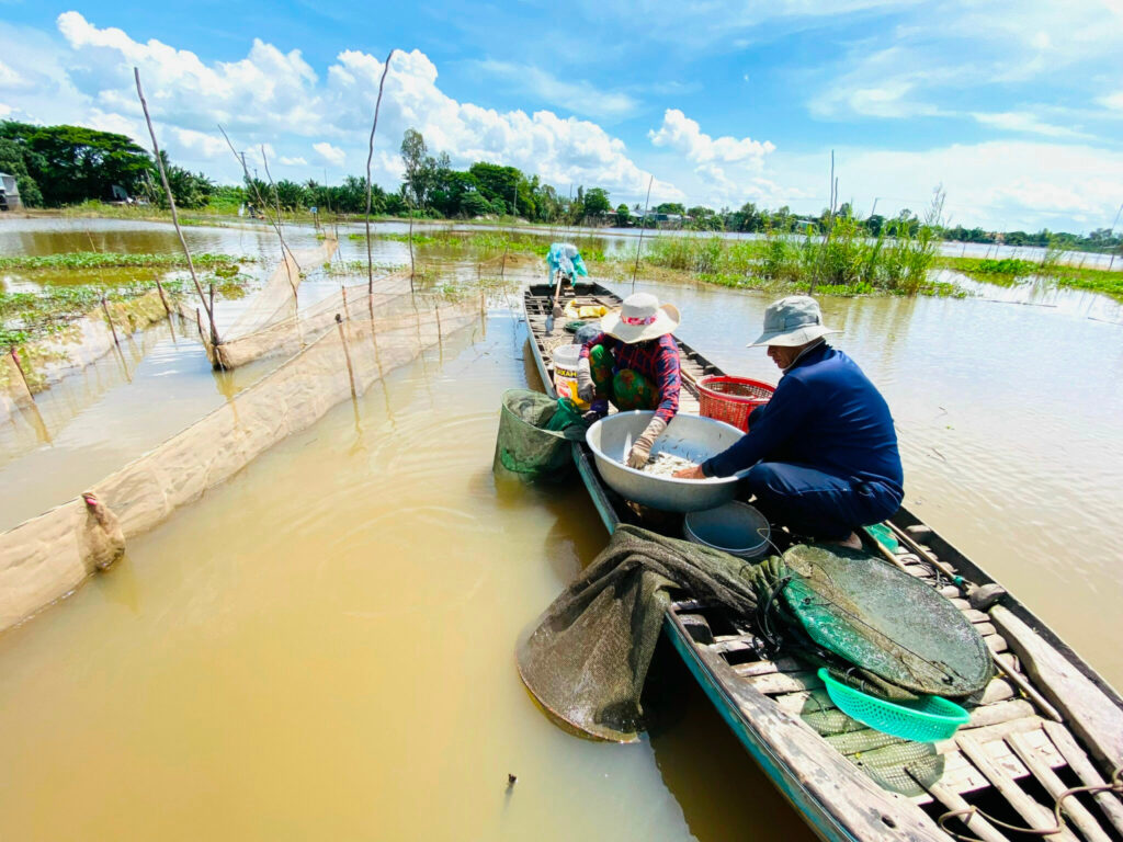 Best Time To Visit Mekong Delta | Unlock The Beauty! - Vietnam Is Awesome