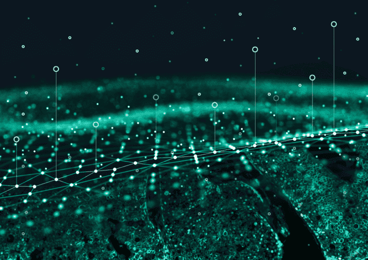 Visiopharm Research Solutions - Propelling pathology forward