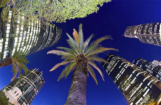 Dubai's New Net Zero Building Codes Should Boost Cleantech Worldwide ...