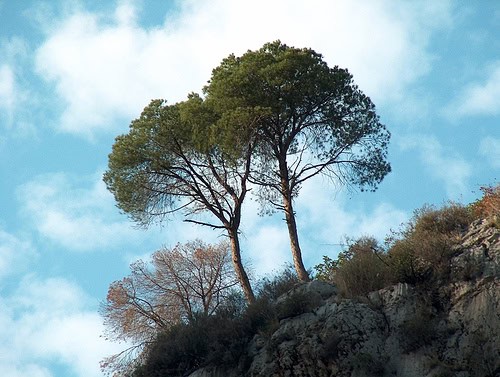 5 Stories For a Freer, Greener Tunisia - Green Prophet