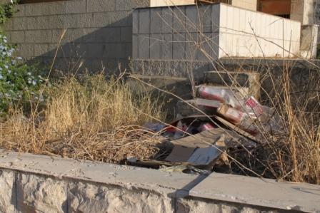 Amman Infested with Litterbugs While Emiratis Cry Foul - Green Prophet