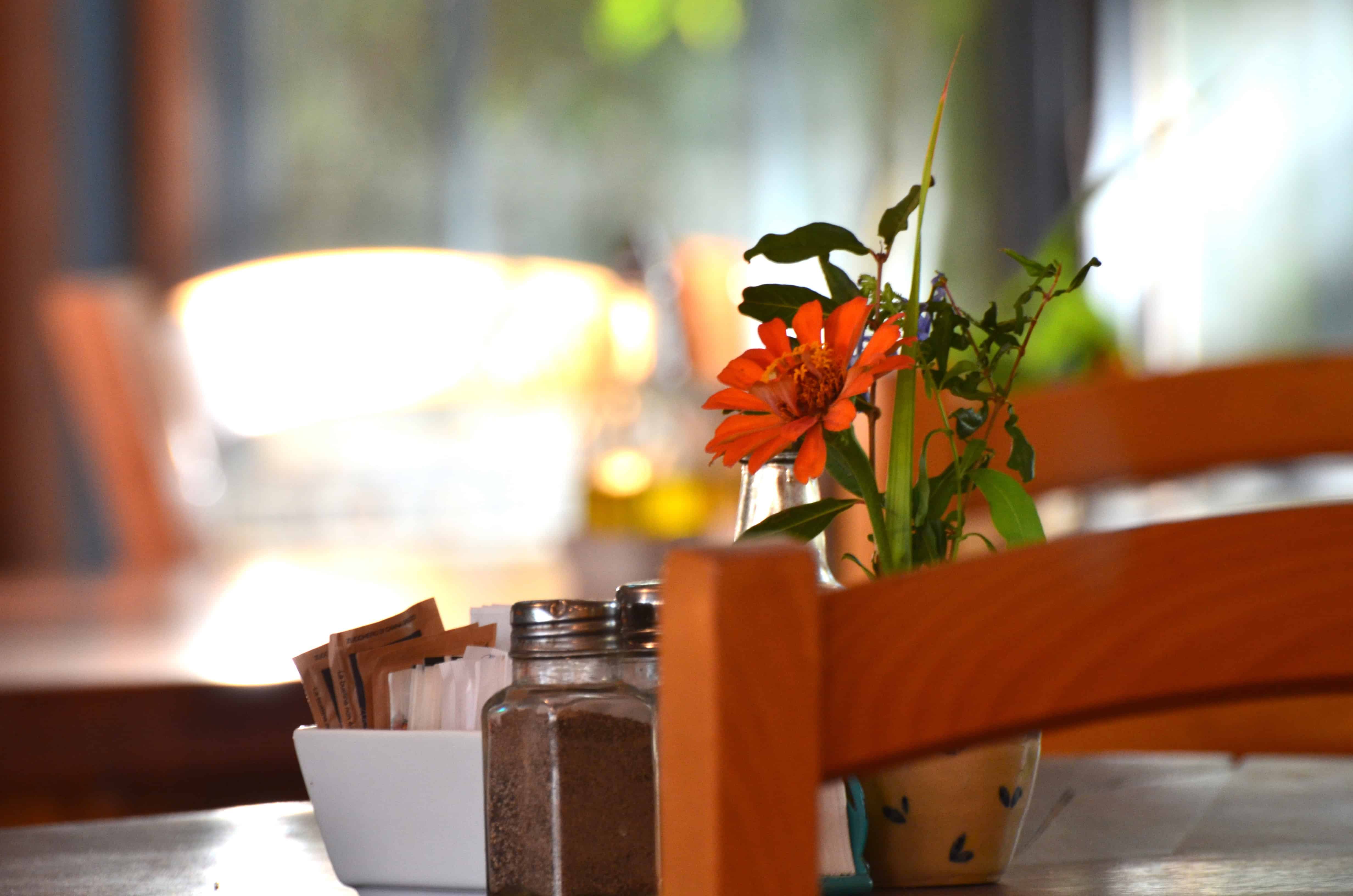 Pundak Neot Semadar - An Improbable Organic Oasis in the Arava Desert ...