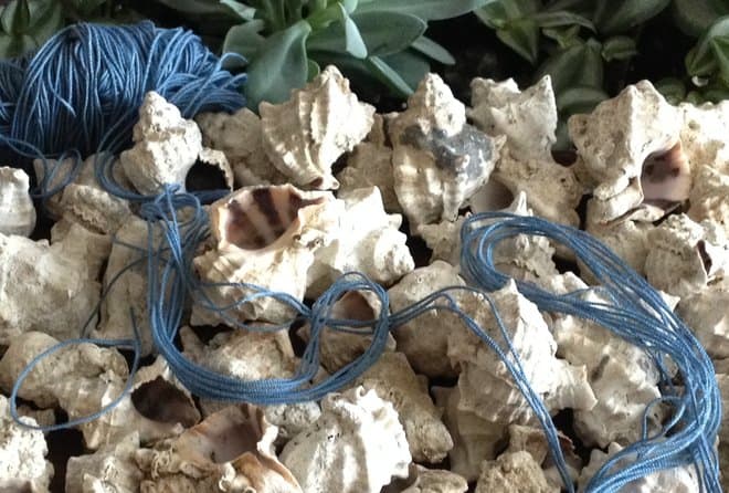 Hidden secrets of Techelet holy blue dye discovered in Israel - Green ...