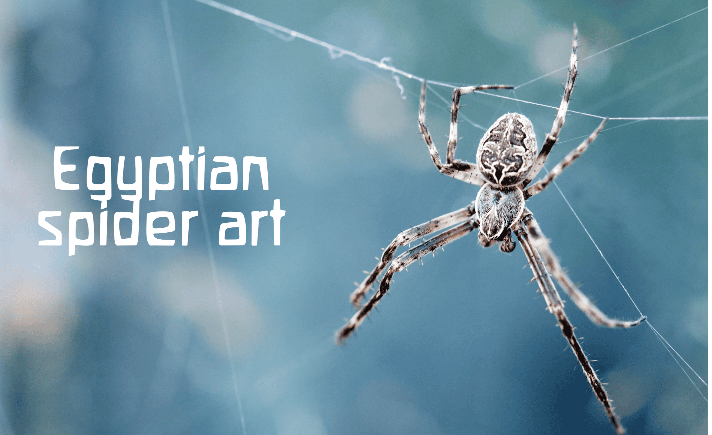 Ancient Egypt spider art archaic writing? - Green Prophet