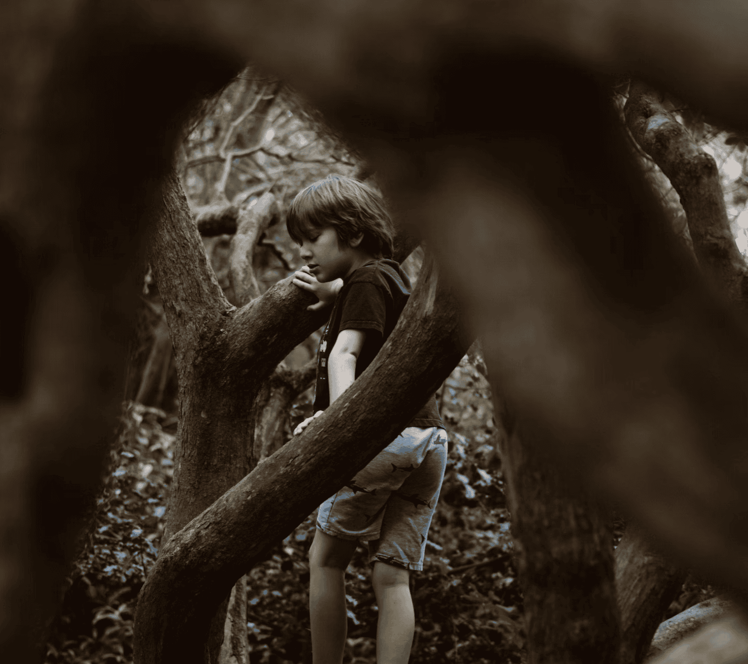 Busting The Myths About Virtual Learning - Green Prophet