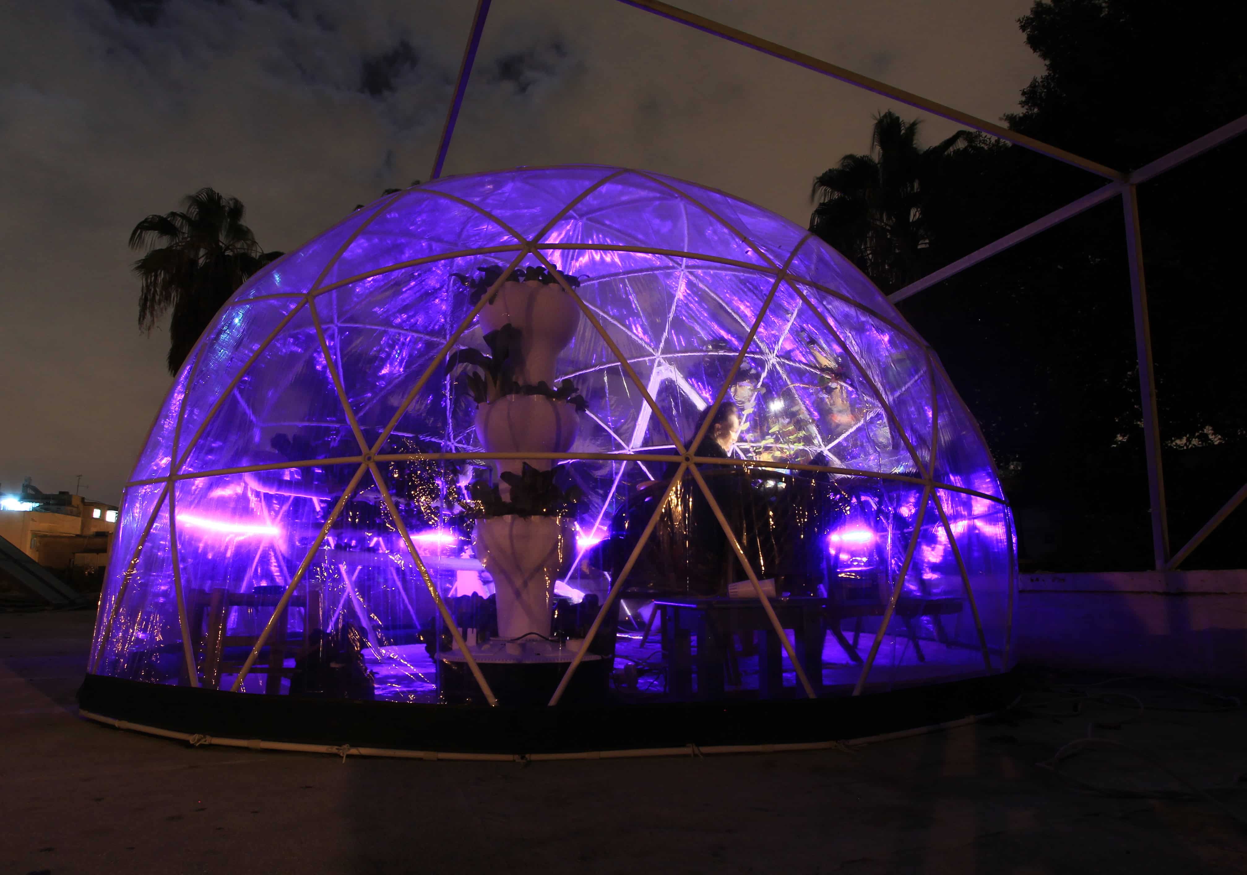 50-year-old terrarium breaks records, and it's not from Dubai - Green ...