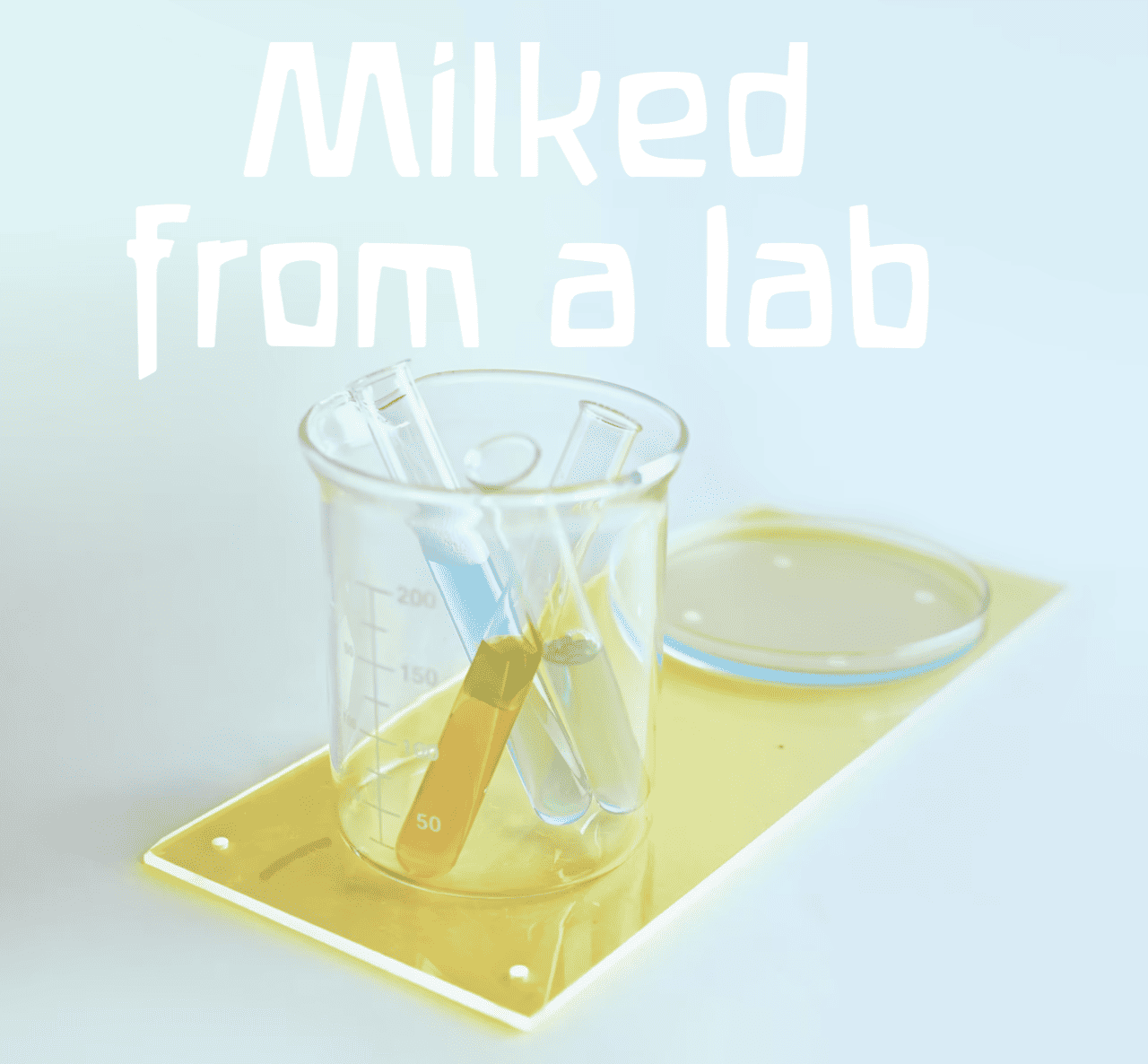 Milk alt lab Imagindairy gets $13M seed funding - Green Prophet