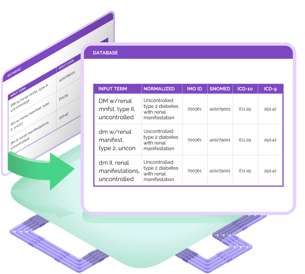 Data Quality in Healthcare| IMO Health Portfolio
