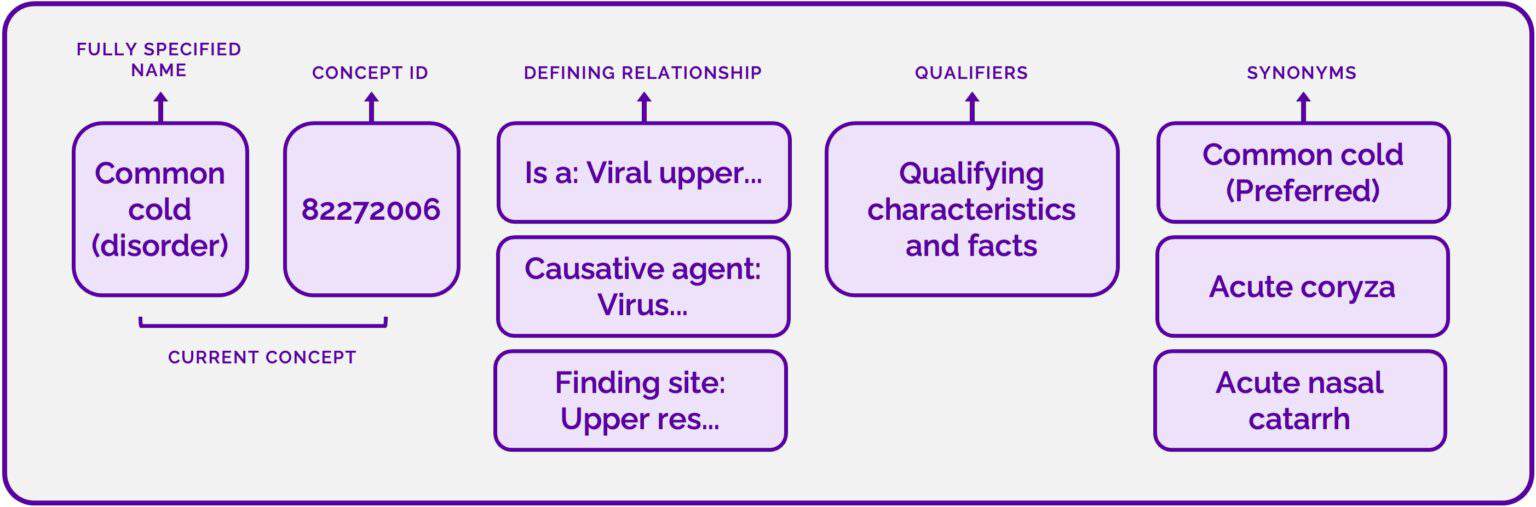 Medical coding systems explained: ICD-10-CM, CPT, SNOMED, and others ...
