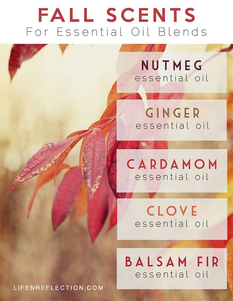 Top 5 Essential Oils for Fall - Life-n-Reflection