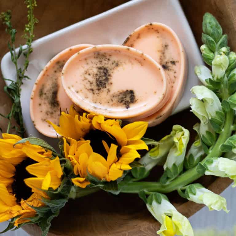 5 Fantastic DIY Fall Soap Recipes