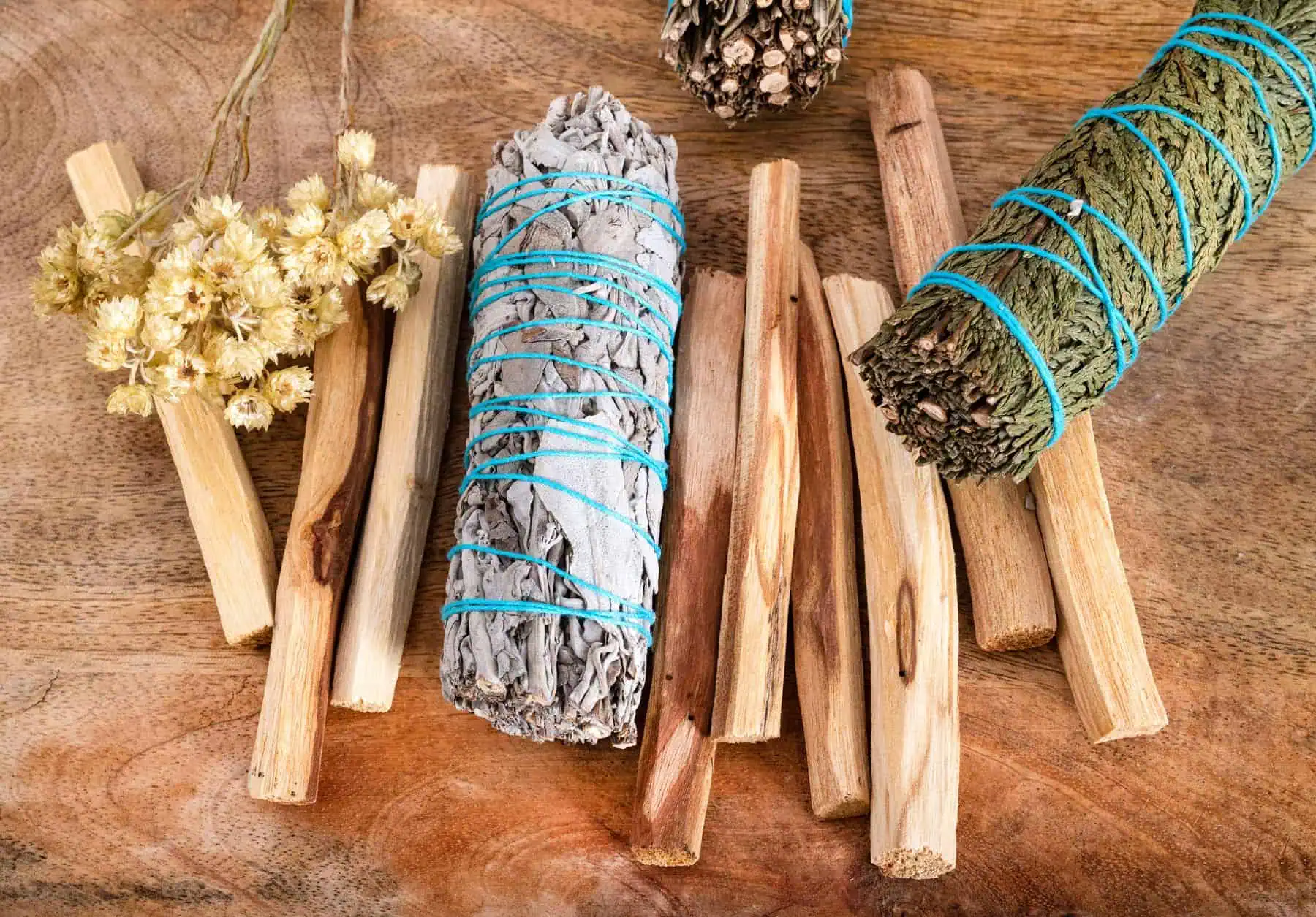 Le palo santo, bois sacré du Pérou