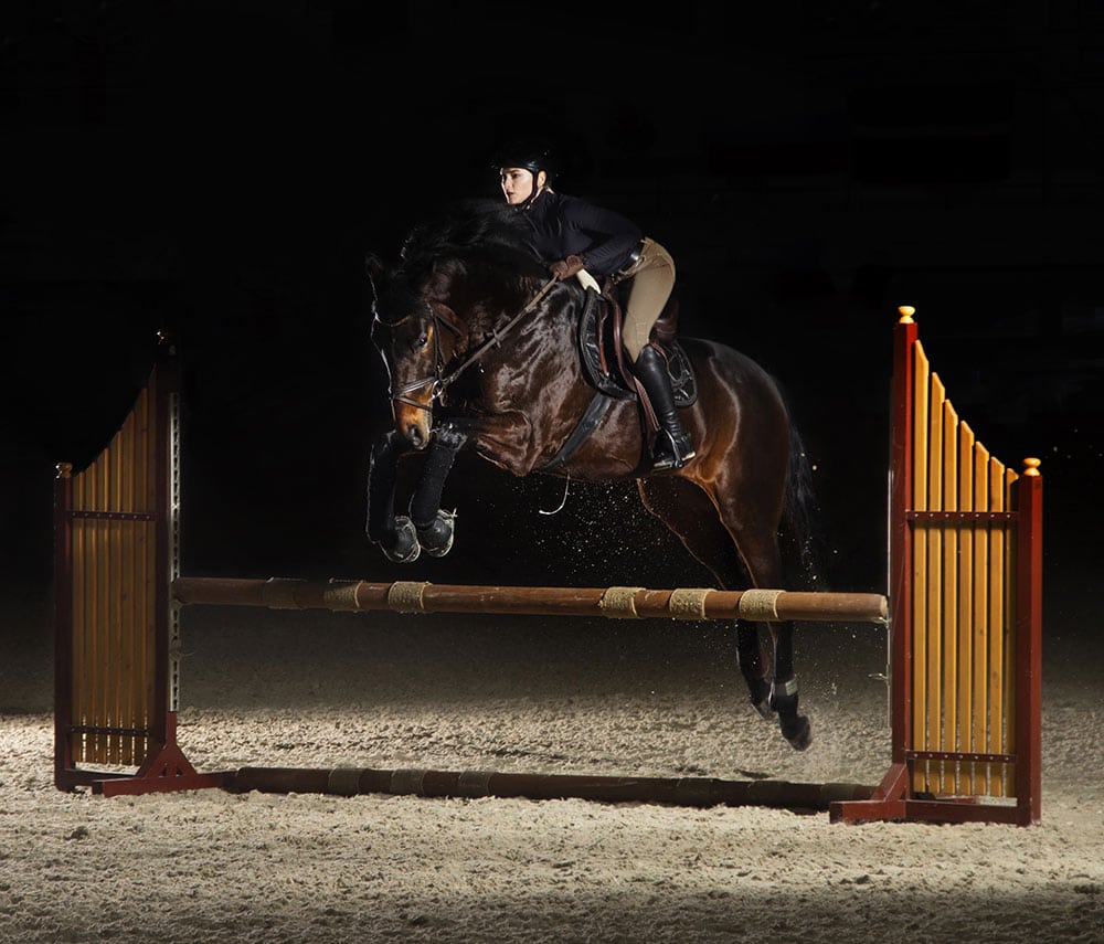 A la découverte du jumping de bordeaux