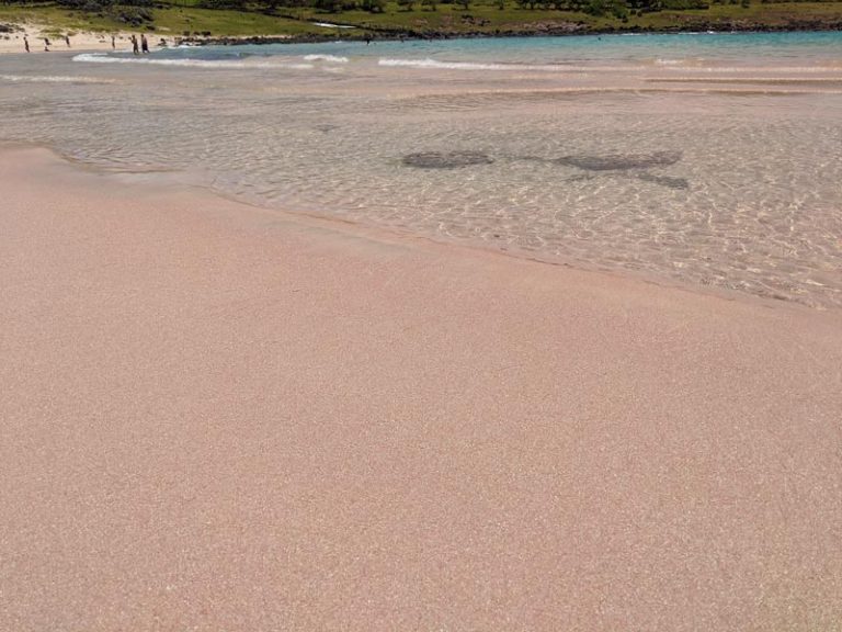 Top 10 Things To See & Do In Easter Island | Easter Island Travel Guide