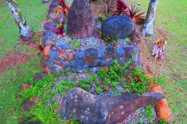 Review Of Highland Cultural Paradise In Rarotonga | X Days In Y