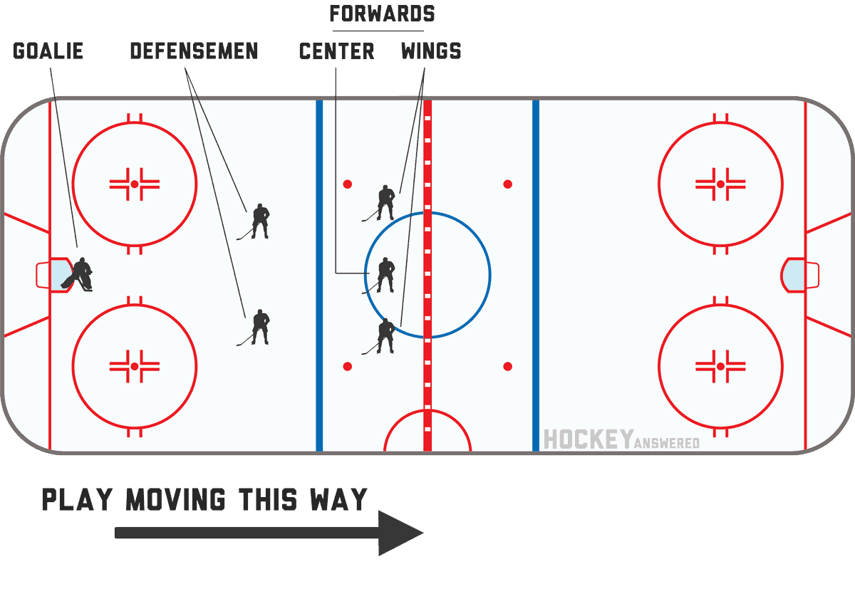 What are the different hockey positions? (with pictures) - Hockey Answered