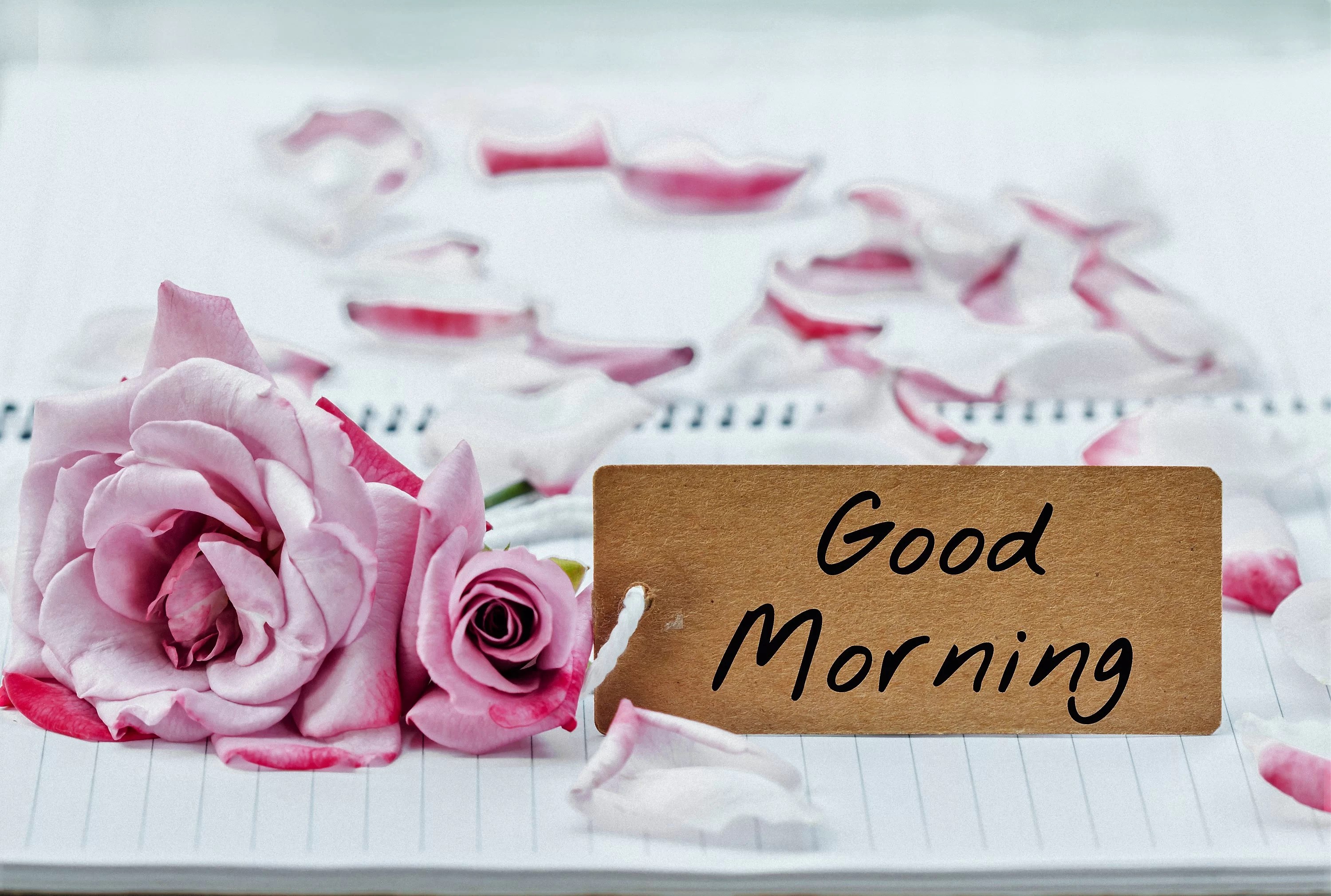 10 Morning Rituals to Make You More Productive