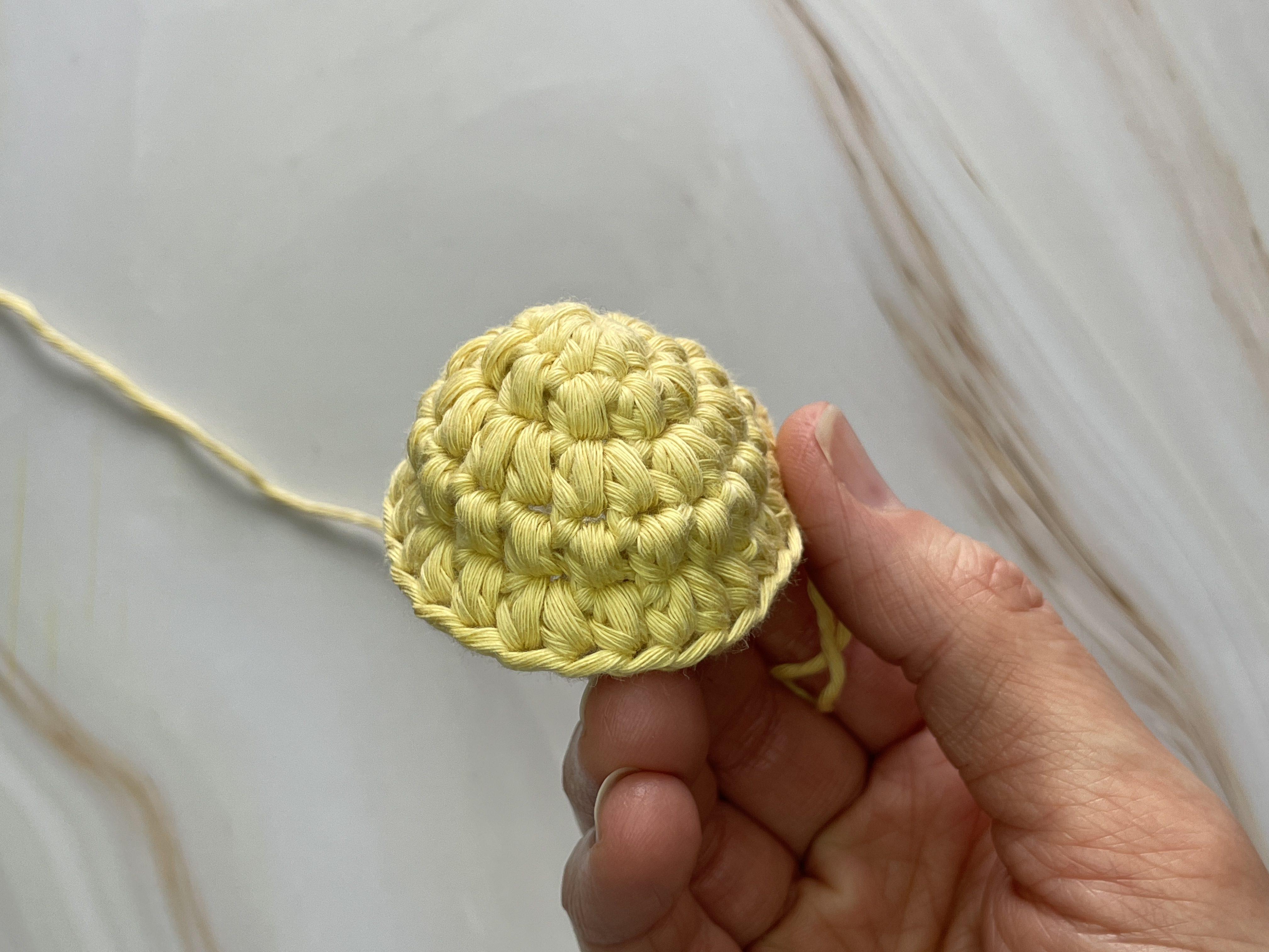Corn Free Crochet Pattern + Video Tutorial