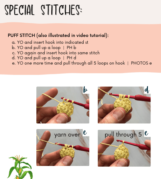 Corn Free Crochet Pattern + Video Tutorial