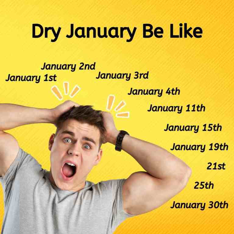 Dry January Memes Return On Sobriety