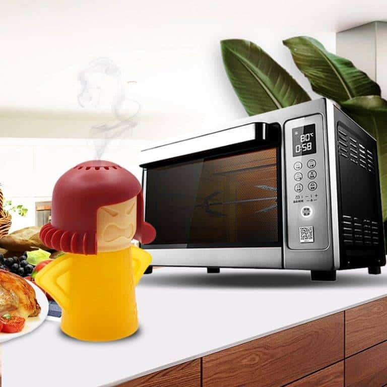 Microwave Steam Cleaner