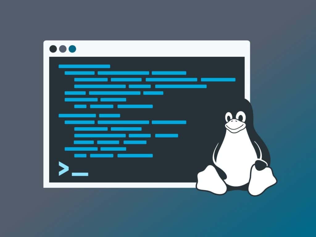3 Best Linux Terminal Text Editors Perfect for Beginners