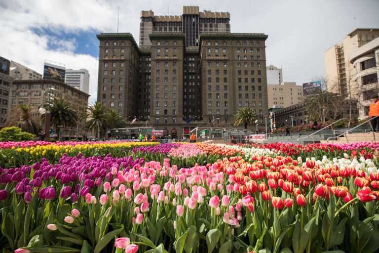 San Francisco March Festivals & Street Fairs 2026