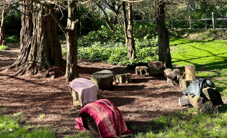 Golden Gate Park "Singing in the Park" Community Party (SF)