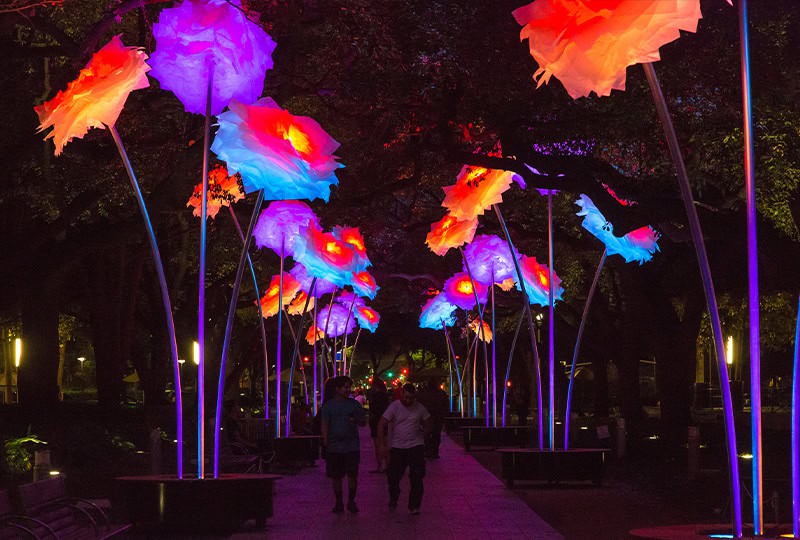 2025 Napa Lighted Art Festival w/ Special Projection Artwork (Jan. 18 ...