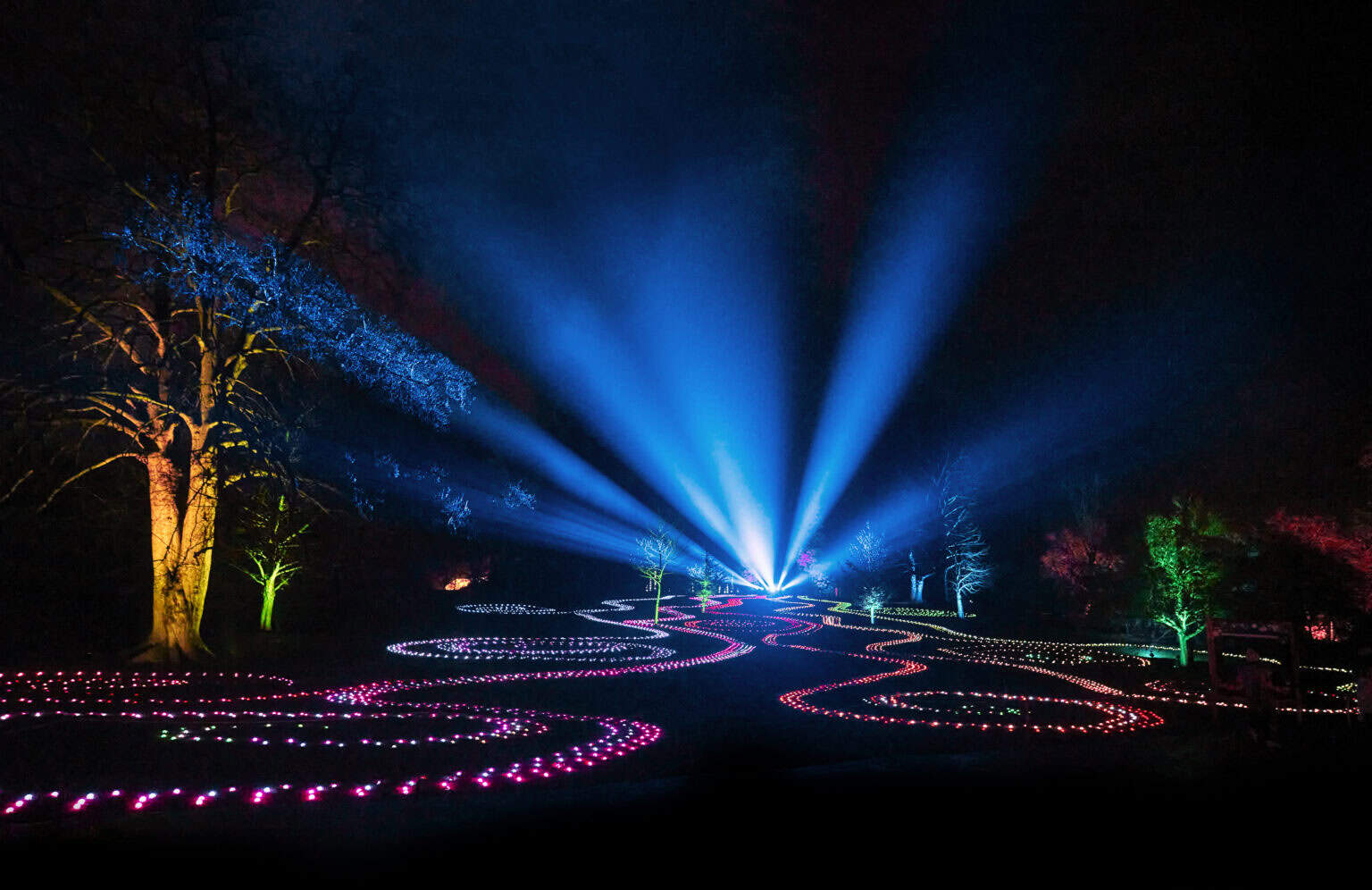 Christmas at "Lightscape": Immersive Holiday Light Trail in Golden Gate ...