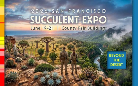 Free 2026 Golden Gate Park Succulent Expo: 40+ Rare Plant Vendors (June ...