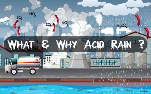 What is Acid Rain and why it occurs ? - The Green Page